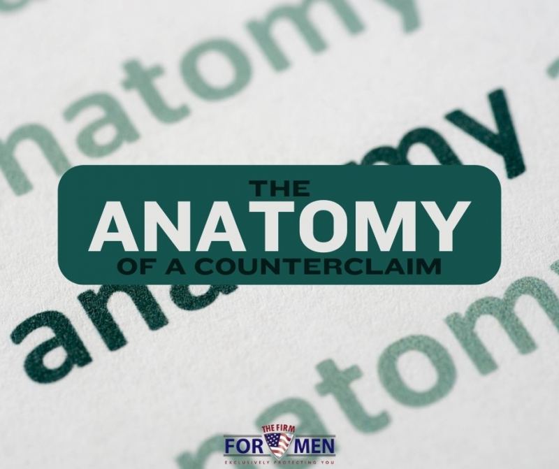 The Anatomy of a Counterclaim